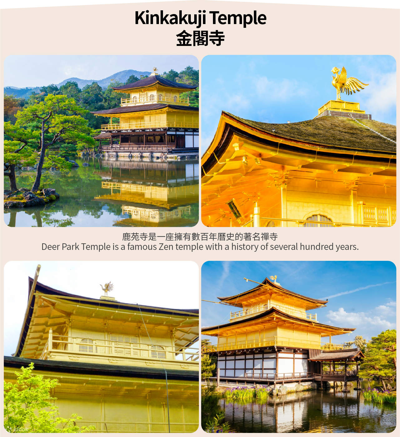 [Kyoto Classic In-depth Tour] Kinkakuji Temple & Kiyomizu Temple ...
